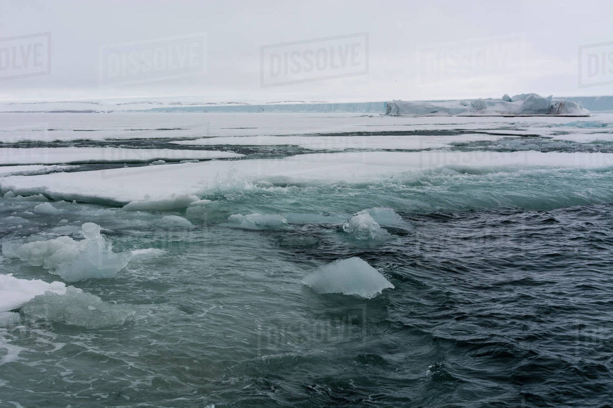 Brasvellbreen, Austfonna ice cap, Nordaustlandet, Svalbard Islands ...