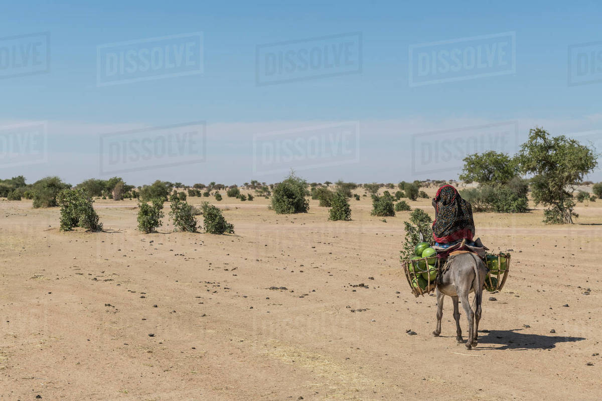 Woman on her donkey, Abeche, Chad, Africa - Royalty-free Stock Photo ...