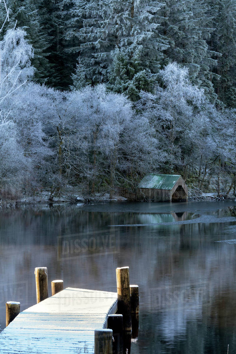 Loch Ard in mid-winter, with hoar frost, Aberfoyle, Loch Lomond and the ...