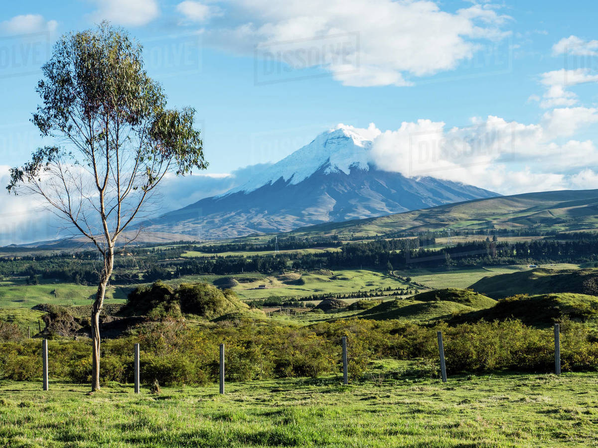 Green farmland and Cotopaxi volcano, Andes mountains, Ecuador, South ...