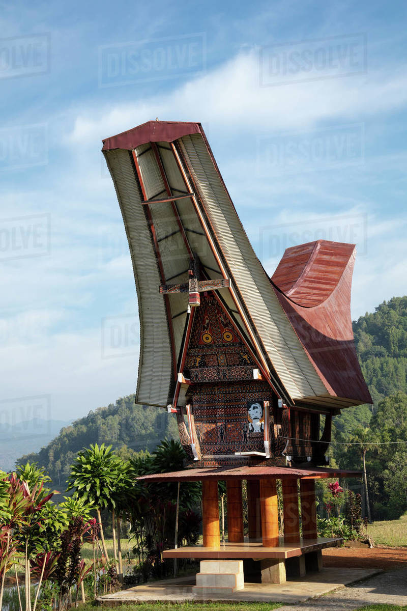 A traditional Torajan Tongkonan long house, Tana Toraja, Sulawesi ...