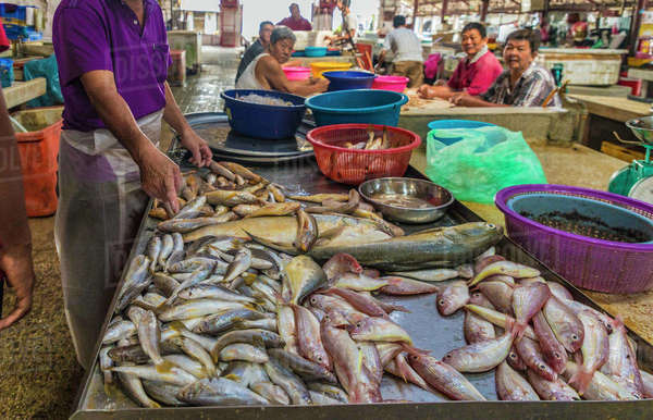 Fish stall in Campbell Street Market within George Town, UNESCO World ...