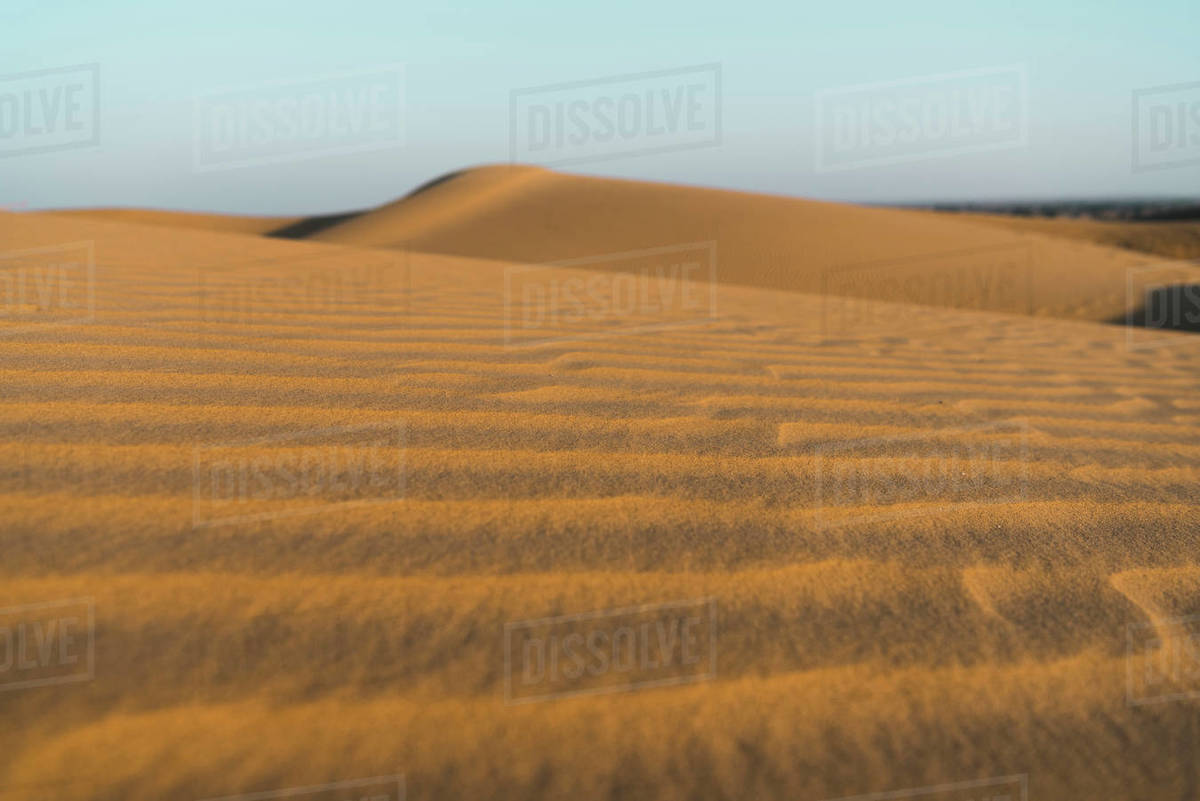 Sand dunes in the Thar Desert, Jaisalmer, Rajasthan, India, Asia ...
