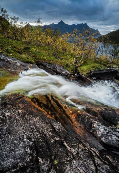 Waterfall and autumn colour in Anderdalen National Park, Senja, Norway ...