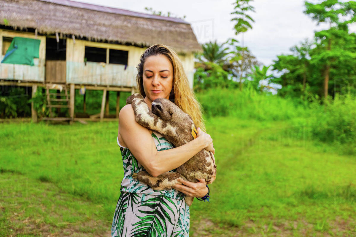 Visitor holding a local Sloth, Peru, South America - Royalty-free Stock ...