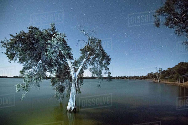 Lake Towerrinning, near Darkan, Western Australia, Australia, Pacific ...
