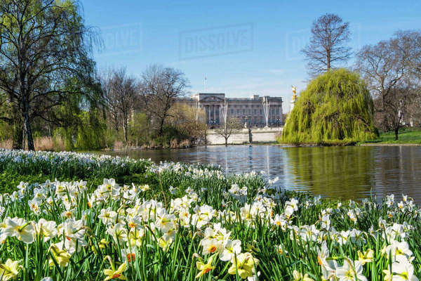 View of Buckingham Palace in springtime from St. James's Park, London ...