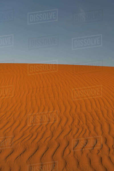 Sand ripples in the sand dunes of the Tenere Desert, Sahara, Niger ...