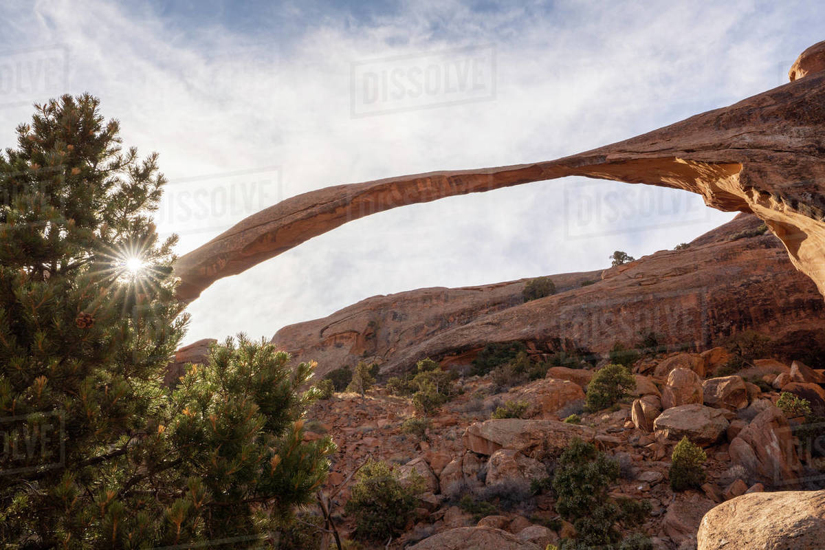 Landscape Arch with sunburst through tree, Arches National Park, Utah ...