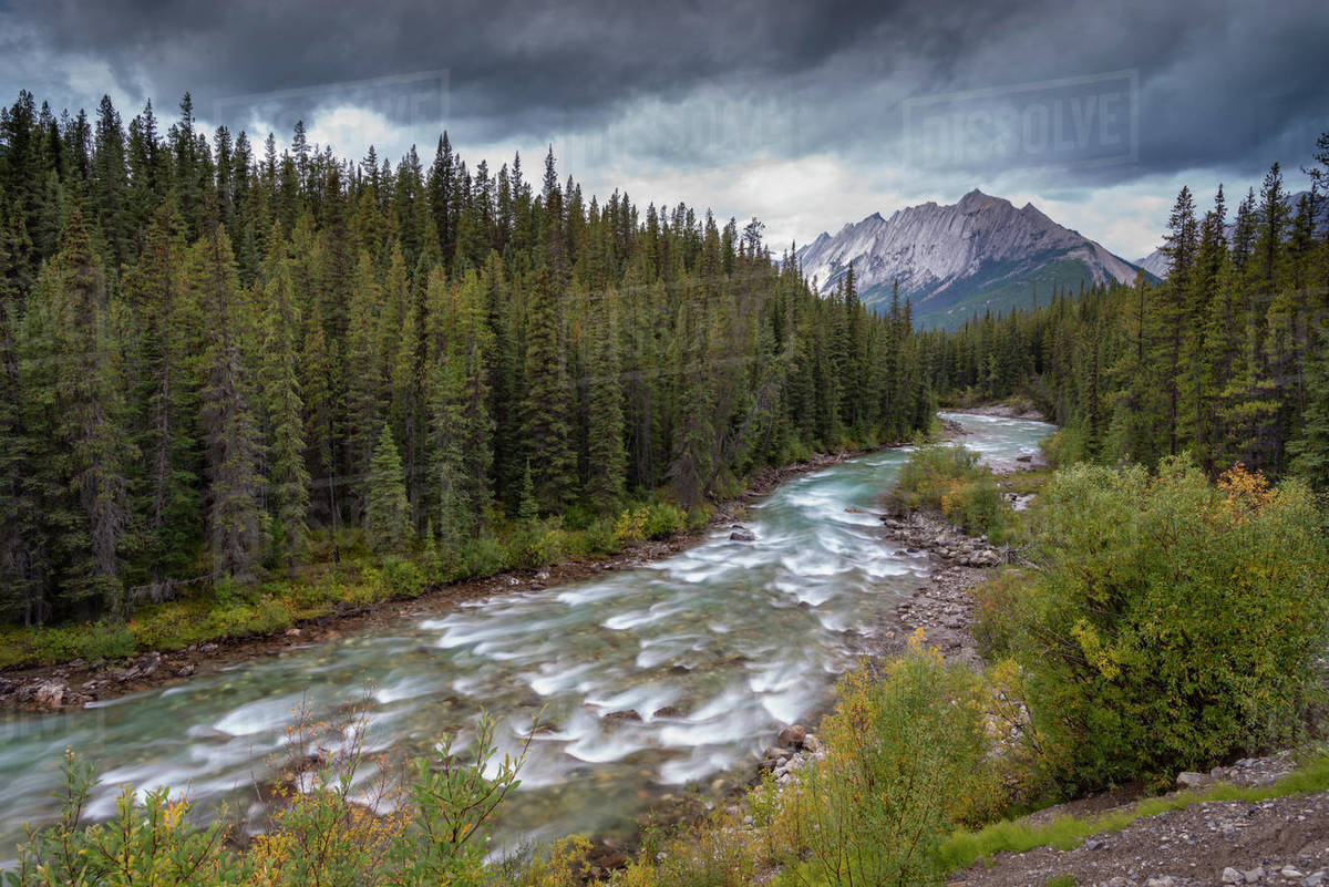 The Maligne River meandering through the Canadian Rockies, Jasper ...