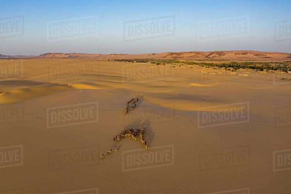 Oasis Fachi, Tenere desert, Niger, West Africa, Africa - Royalty-free ...