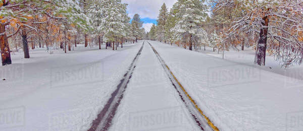 The road leading to Kaibab Lake in the Kaibab National Forest near ...