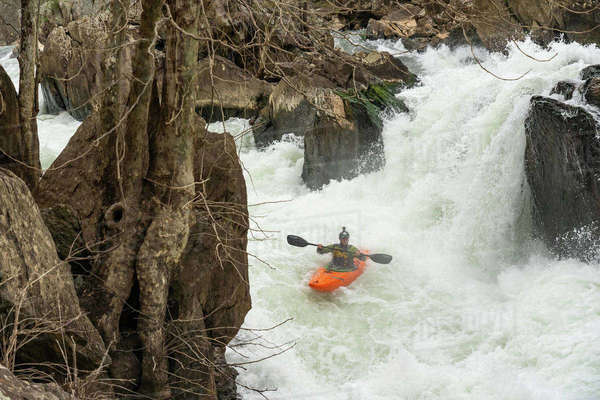 A whitewater kayaker runs the drop known as Bitch Monkey on the Great ...