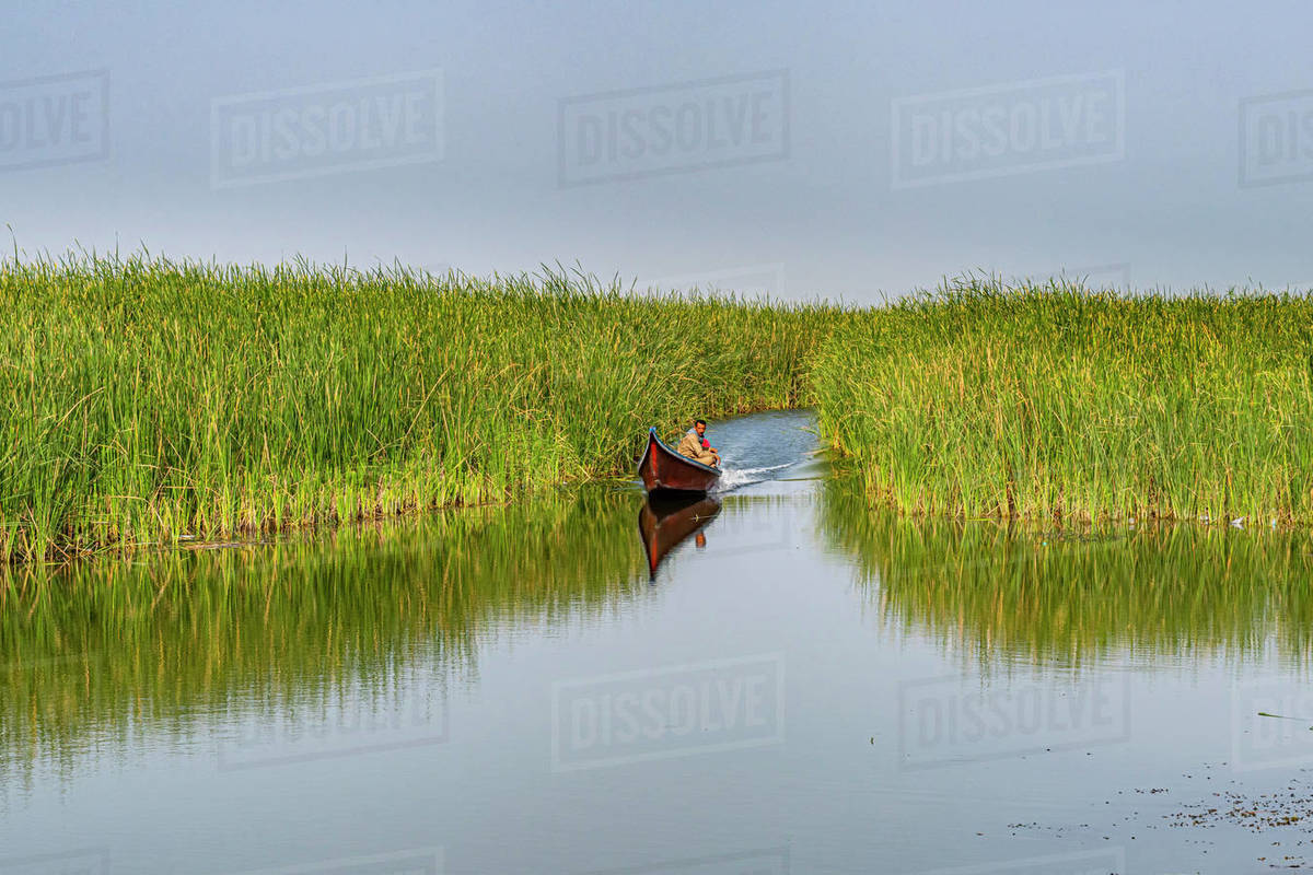 Little boat in the Mesopotamian Marshes, The Ahwar of Southern Iraq ...