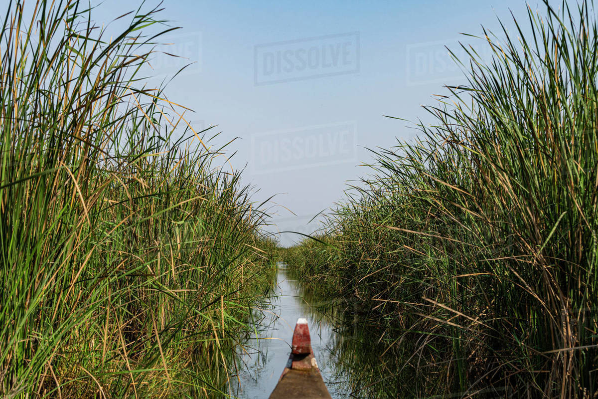 The Mesopotamian Marshes, The Ahwar of Southern Iraq, UNESCO World ...