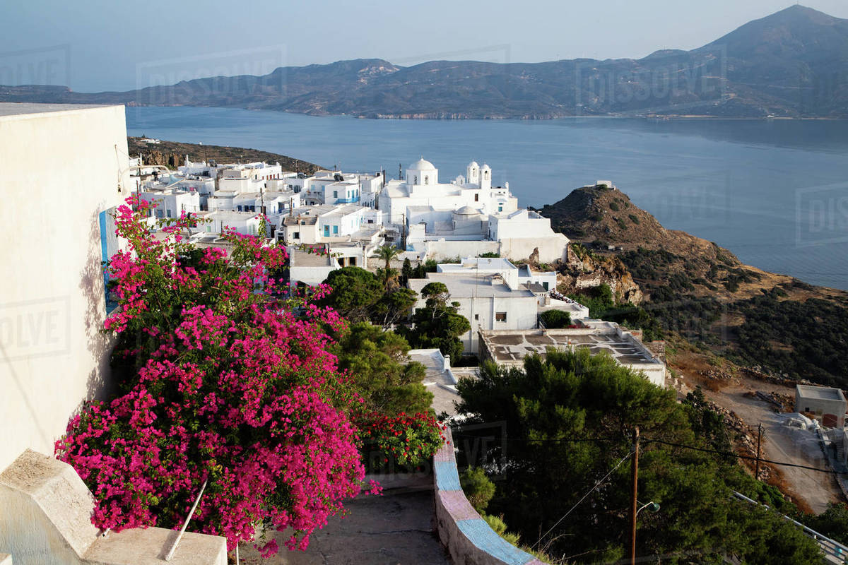 Old white town of Plaka and Milos Bay with colourful bougainvillea ...