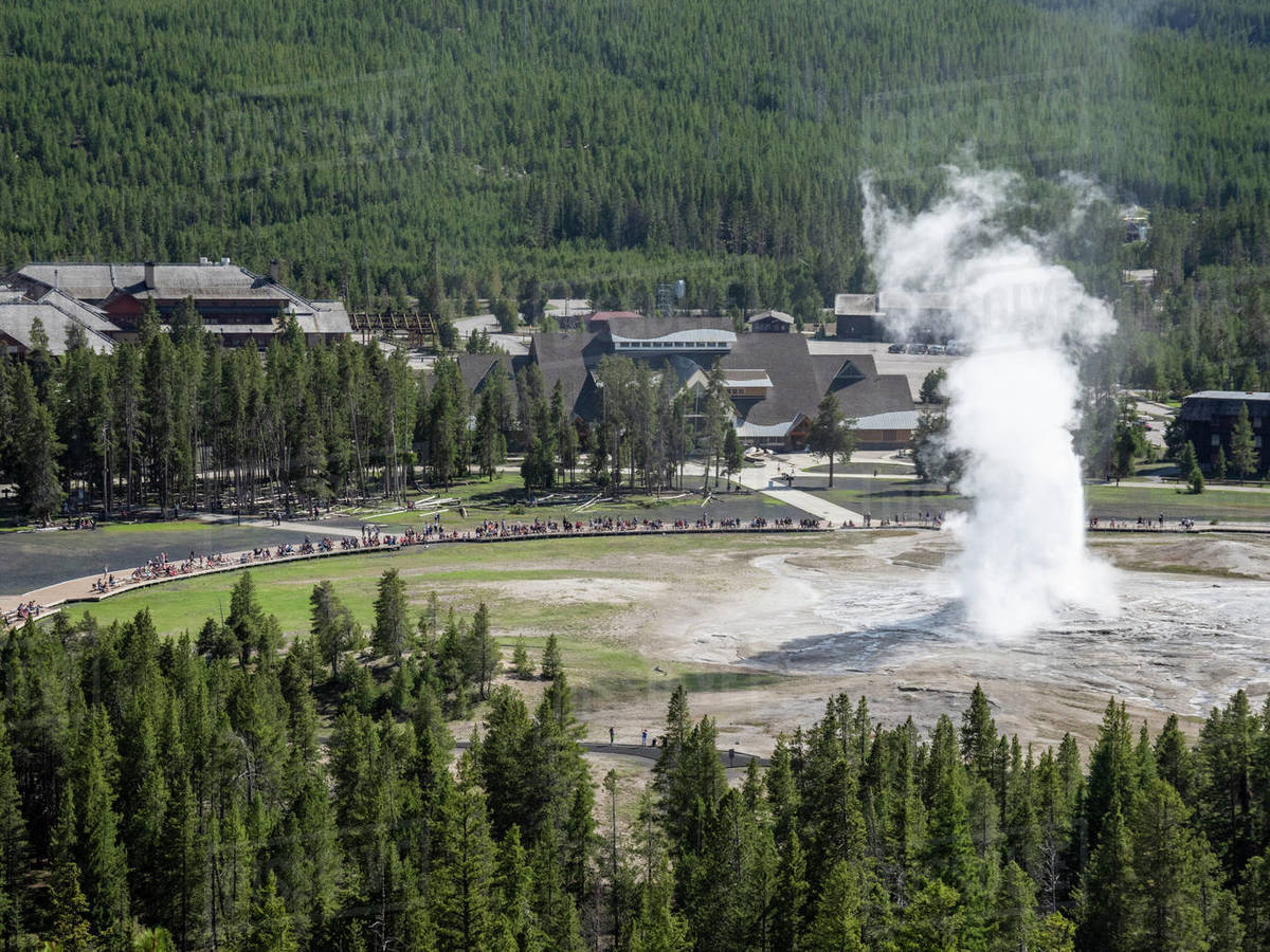 The cone geyser called Old Faithful erupting, Yellowstone National Park ...
