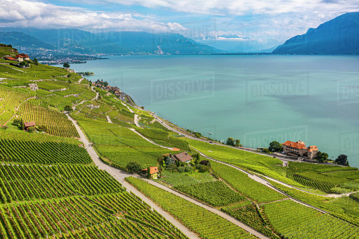 Aerial of Lavaux Vineyard Terraces, UNESCO World Heritage Site, Lake ...