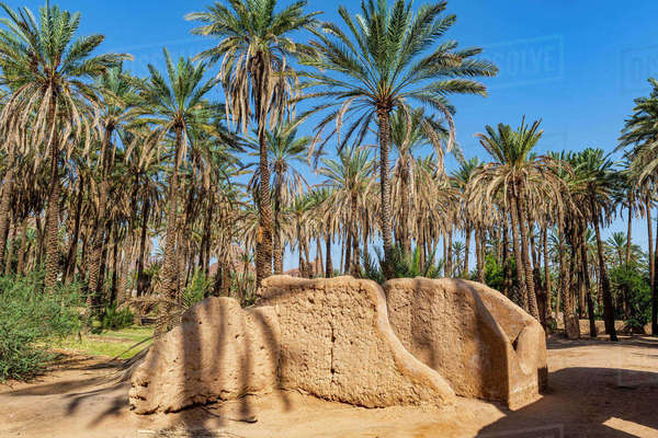 Oasis of Al Ula, Kingdom of Saudi Arabia, Middle East - Stock Photo ...
