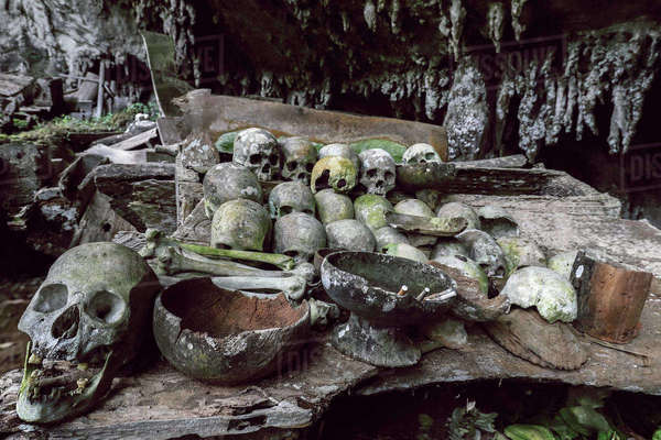 Skulls in 700 year old burial cave at Lombok Parinding, north of ...