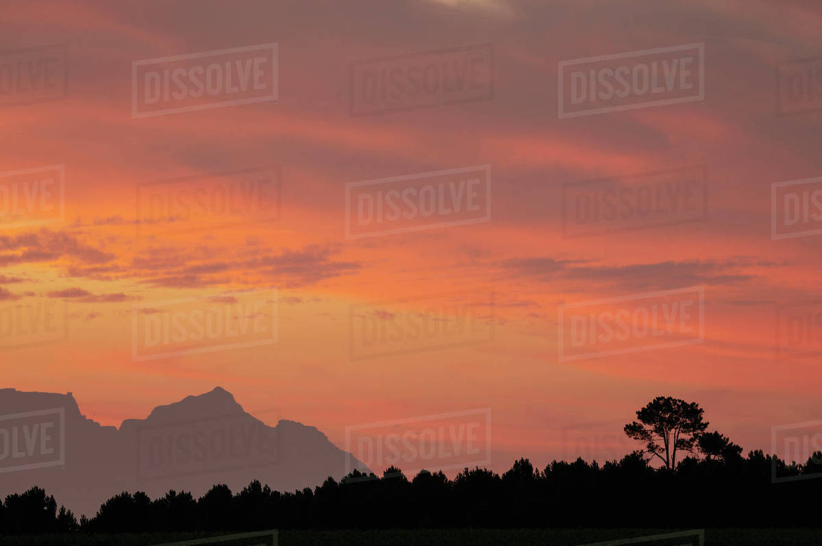 Sunset over Table Mountain, Stellenbosch, Western Cape, South Africa ...