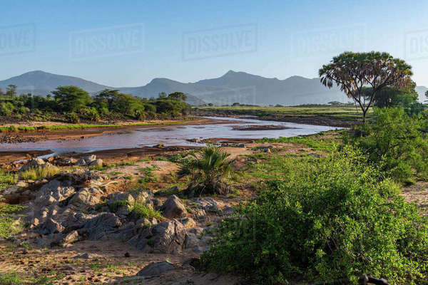 Ewaso Ng'iro river flowing between Buffalo Springs National Reserve and ...