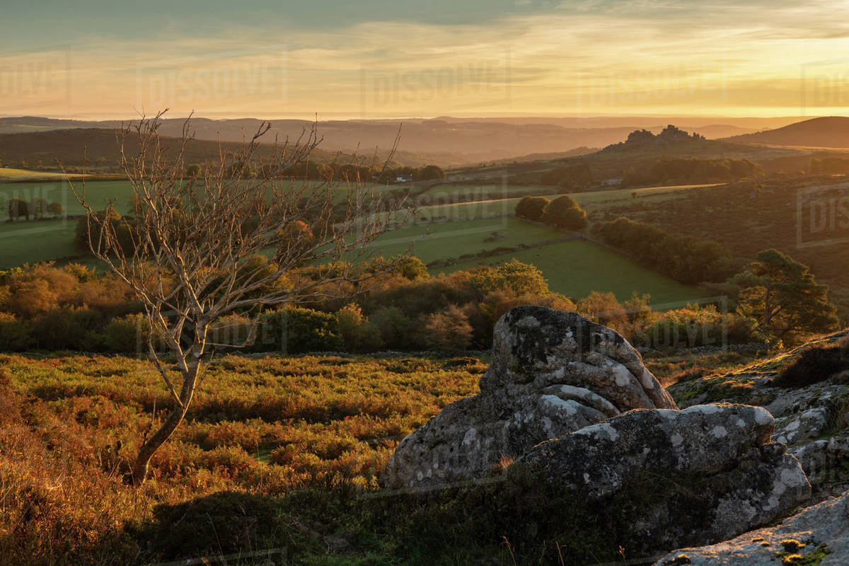 Rolling Dartmoor moorland and countryside at sunrise in autumn, Devon ...