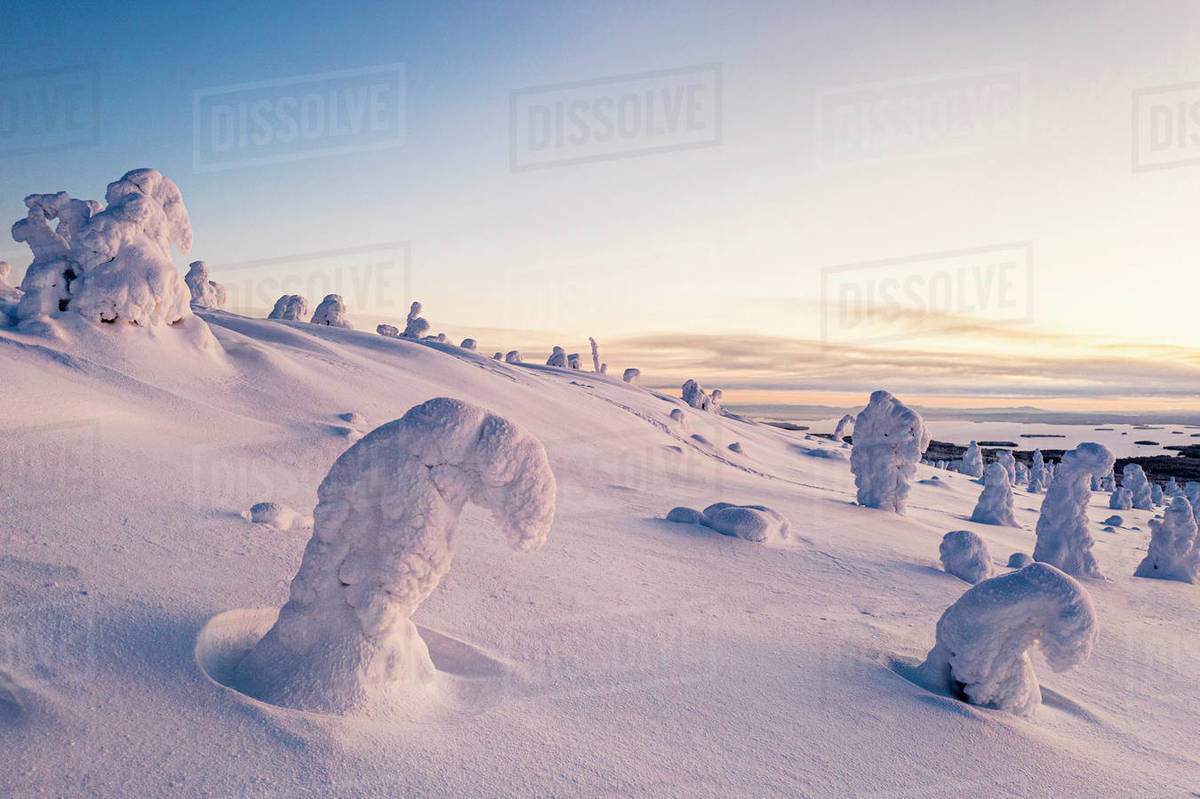 Ice sculptures in the snowy winter scenery of Finnish Lapland at dawn ...