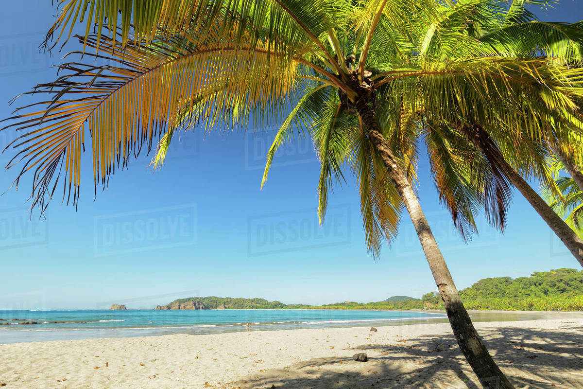 Playa Carrillo, Nicoya Peninsula, Guanacaste, Costa Rica, Central ...