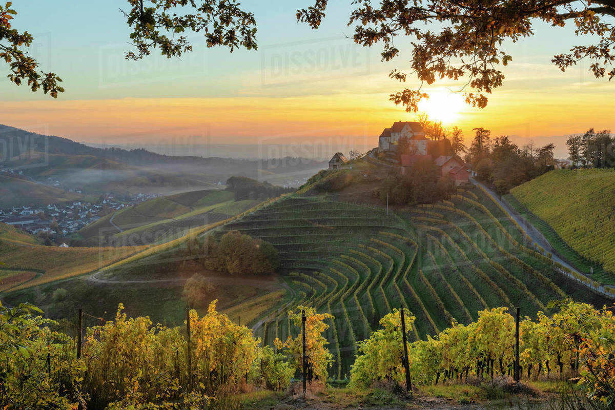 Schloss Staufenberg Castle, Durbach, Black Forest, Baden-Wurttemberg ...