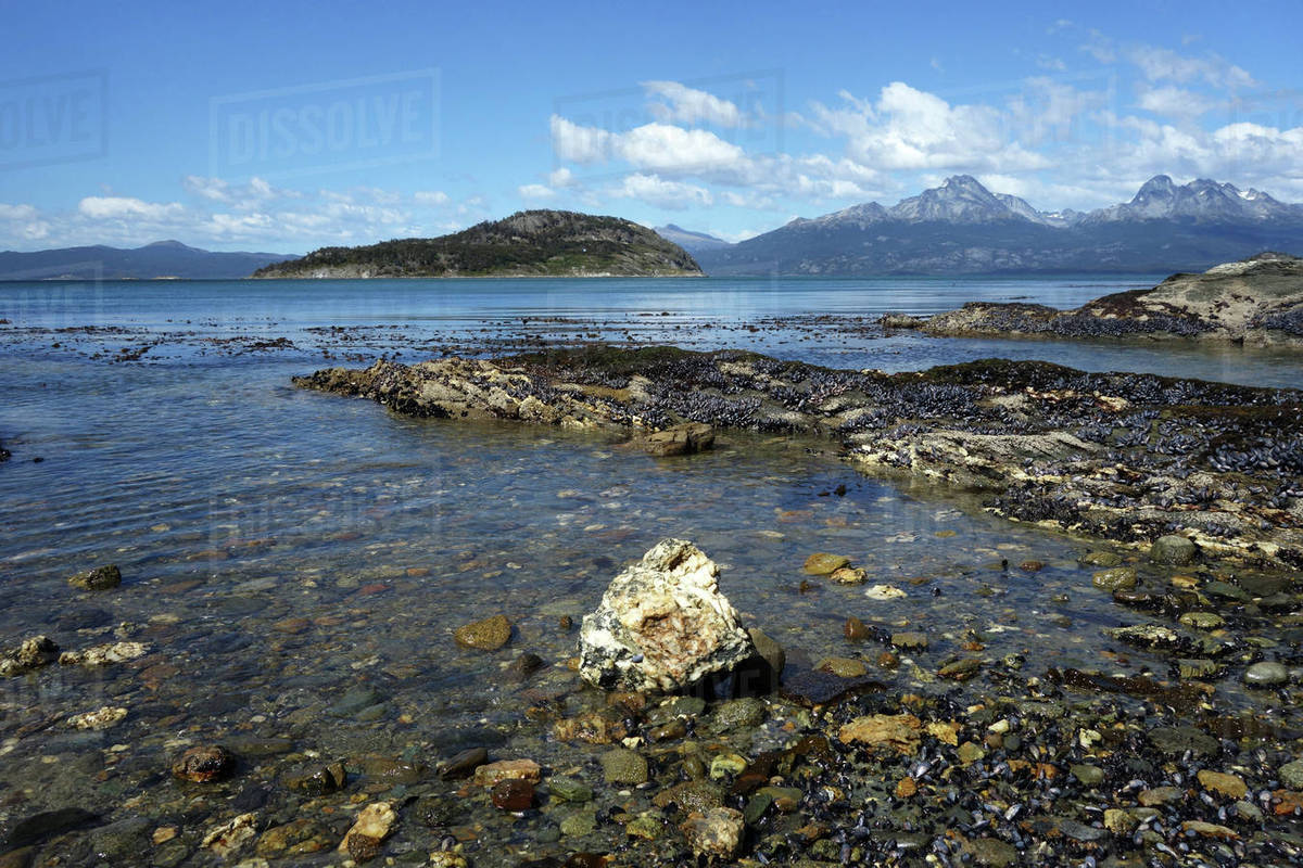 Coastal scene in the Tierra del Fuego National Park, Tierra del Fuego ...
