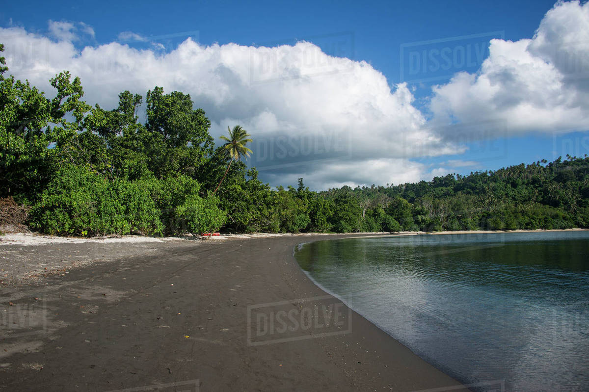 Pretty black sand volcanic beach, Epi Island, Shepherd Islands, Vanuatu ...