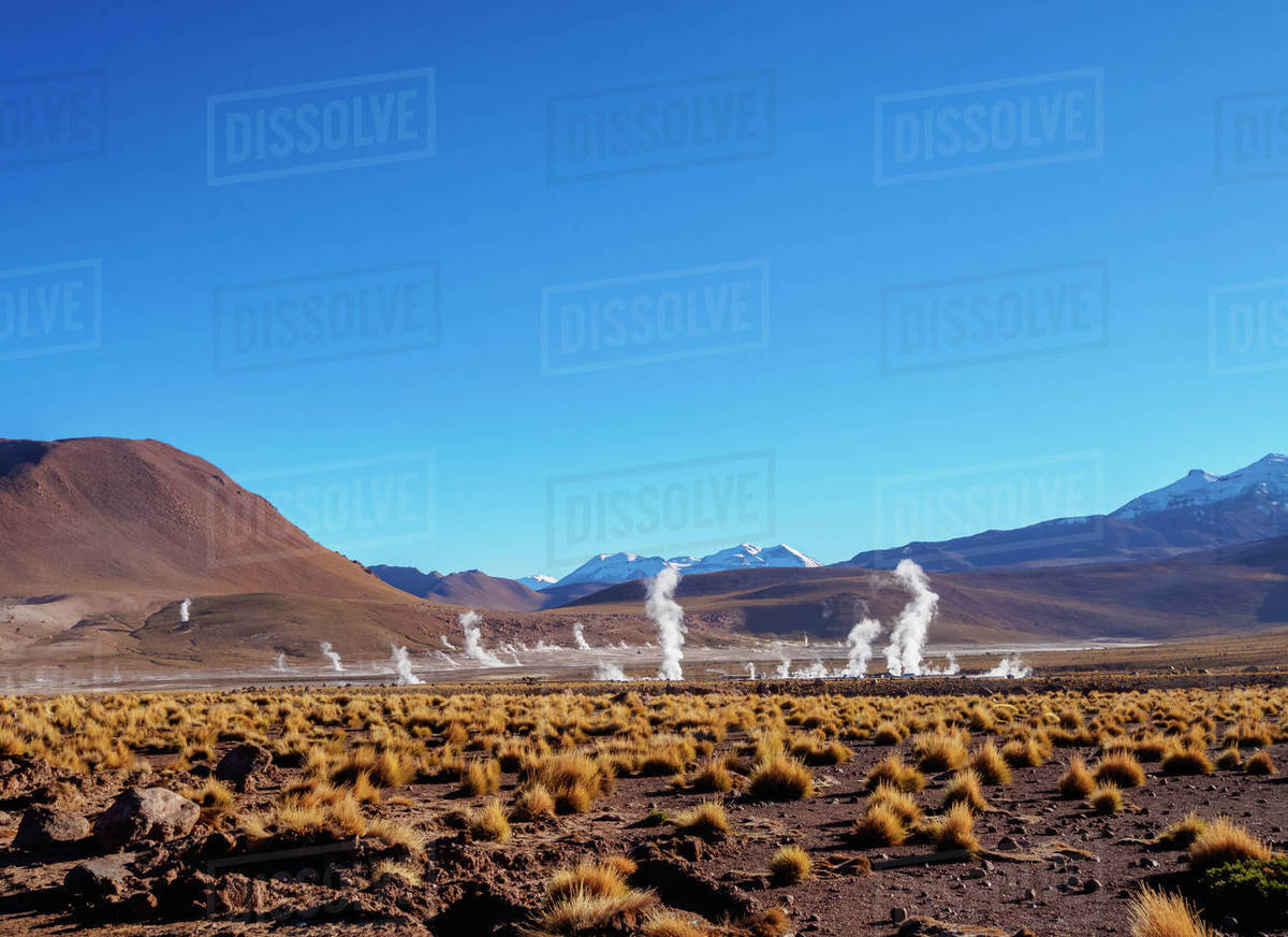 Geysers El Tatio, Antofagasta Region, Chile, South America - Royalty ...