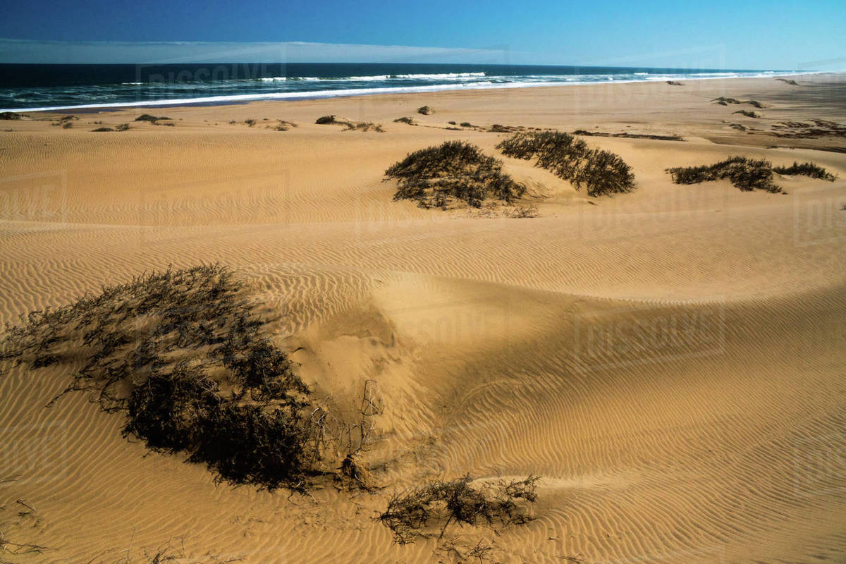 Sand dunes, blown by wind into pronounced furrows stretching into the ...