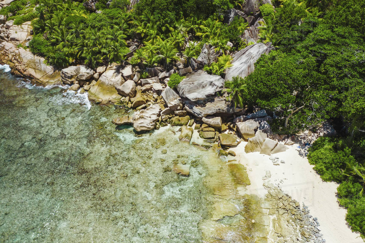 Secluded tropical exotic beach in deep jungle, coconut palm trees and ...