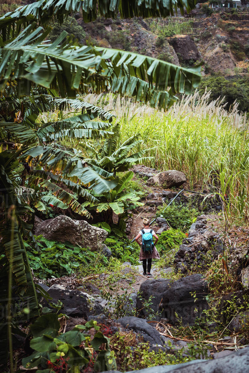 Female hike the lush canyon full of exotic vegetation. Plenty of ...