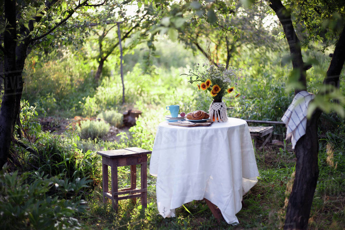 Garden and tea party at the country style - Stock Photo - Dissolve