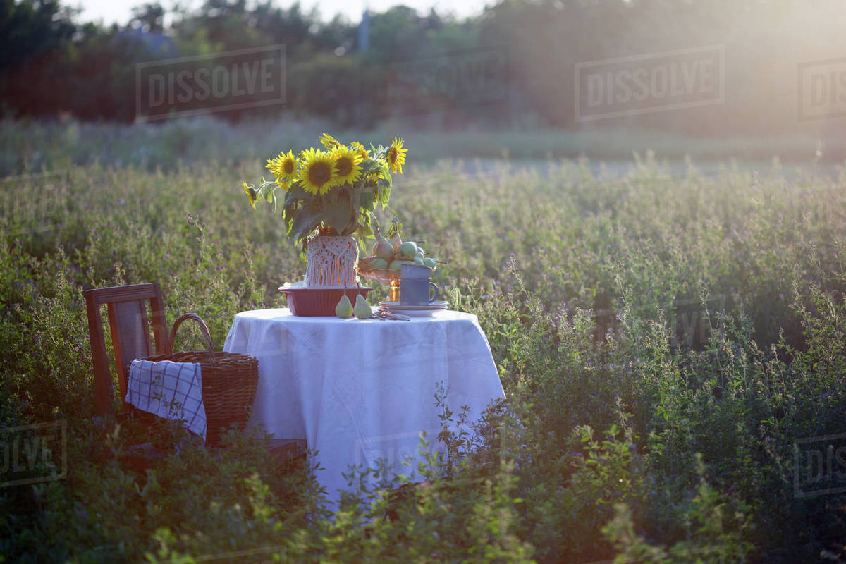 Garden and still life - a vase with sunflowers and pears on a table ...