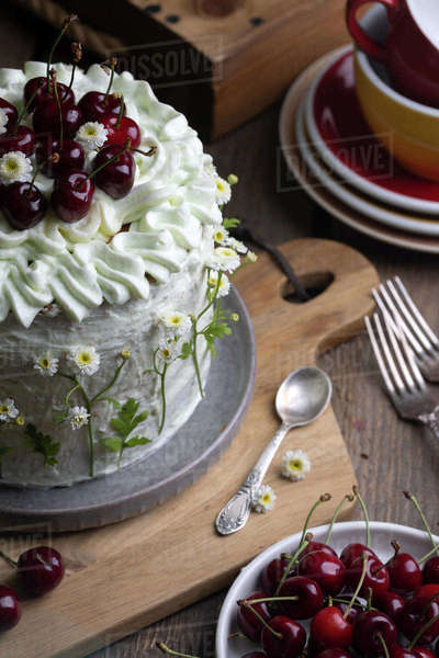 Beautiful biscuit cake with sweet cherry decorated with natural flowers ...