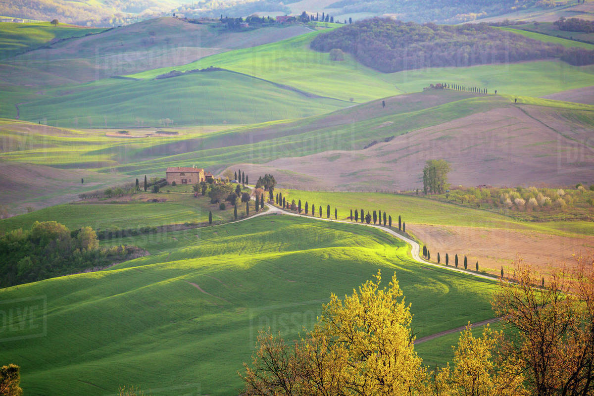Magical morning. typical Tuscan landscape - a view of a villa on a hill ...