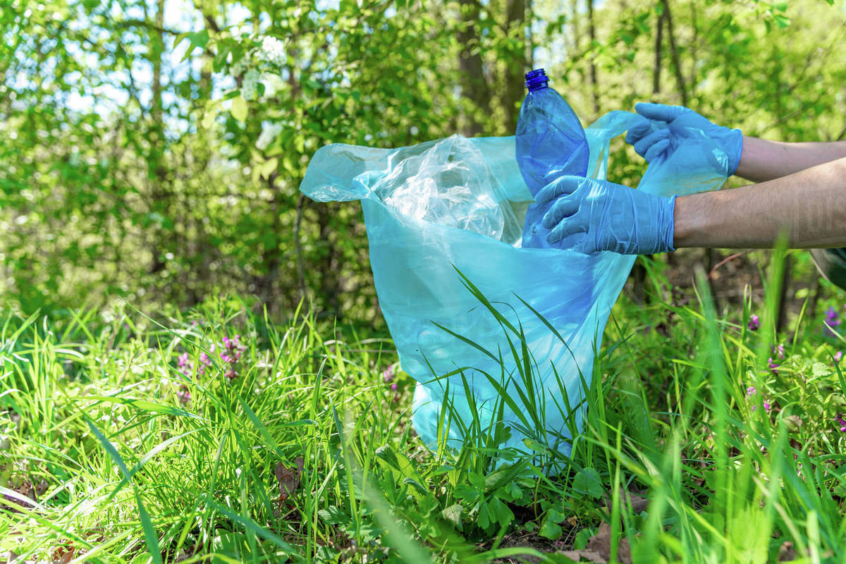 cleaning nature by collecting plastic waste, plastic bottles from the ...