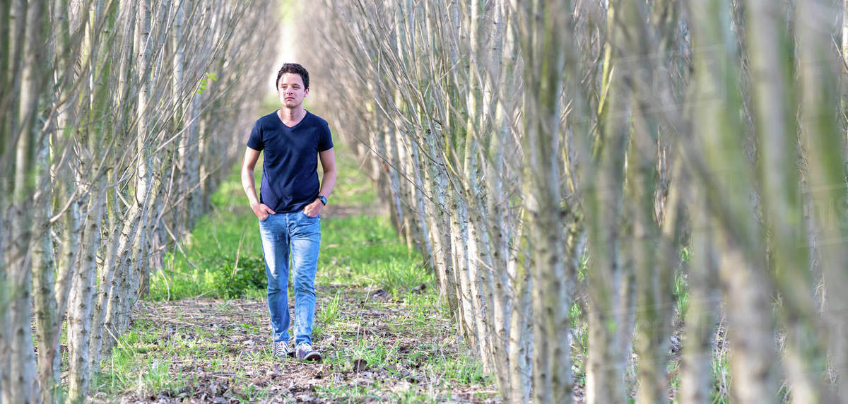 A young man walks through a row of trees in a forest planted by a man ...