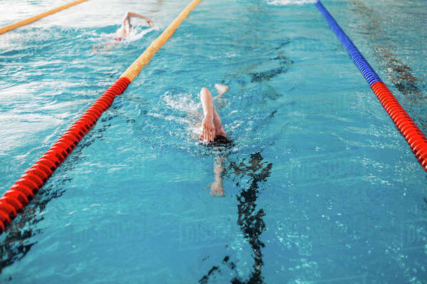 swimming competitions in the swimming pool. - Royalty-free Stock Photo ...