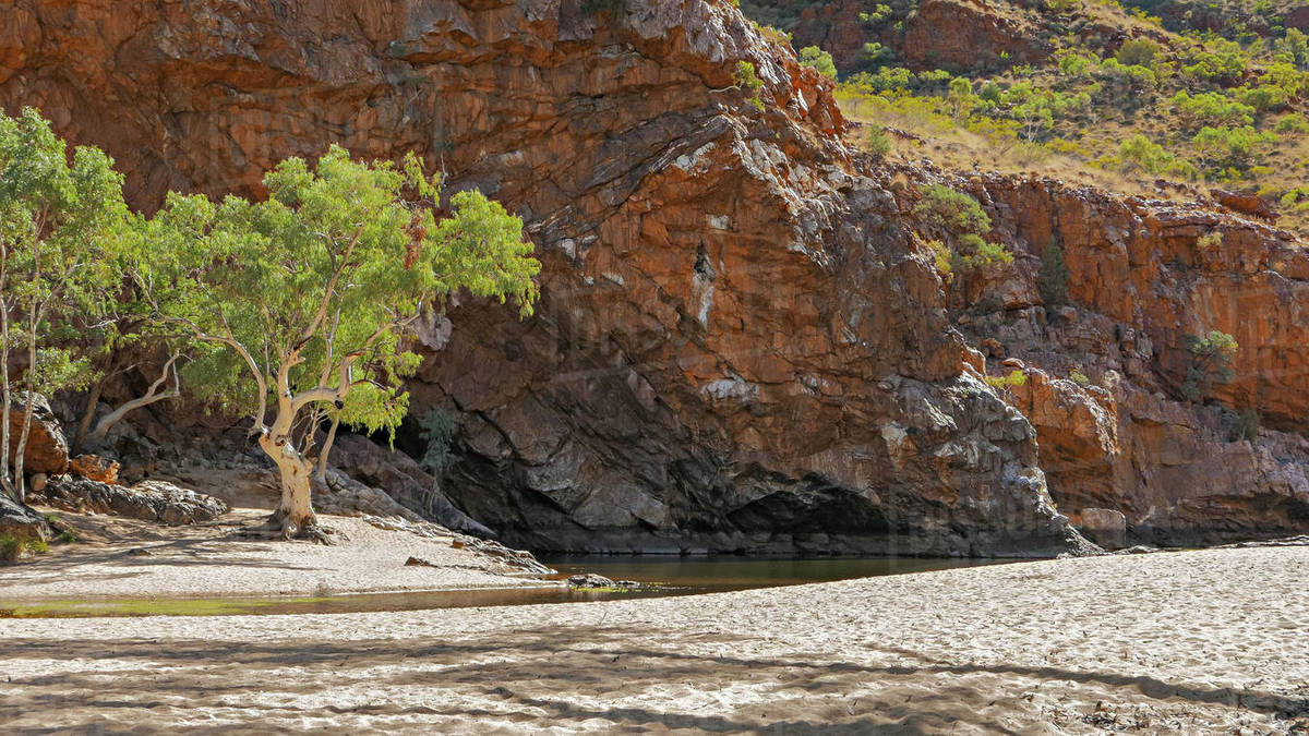 a ghost gums and the dry finke river bed at ormiston gorge alice ...