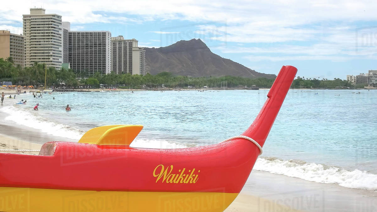 HONOLULU, UNITED STATES OF AMERICA - AUGUST 5 2015: close up of an ...