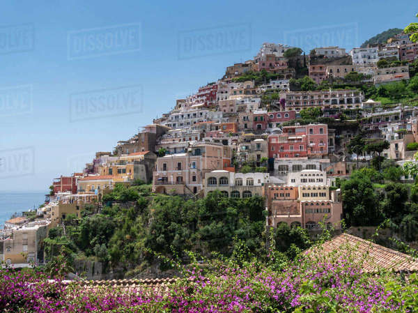 close shot of bougainvillea flowers and the village houses of positano ...