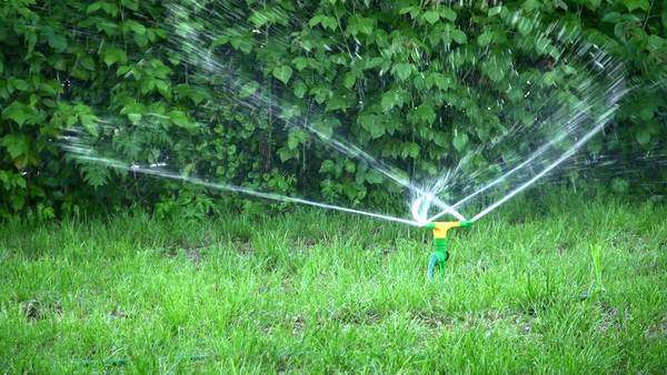 Water splash on grass - Stock Video Footage - Dissolve