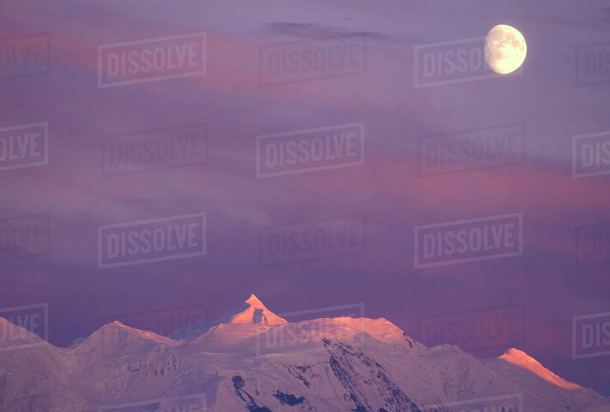 USA, Alaska, Denali National Park. Moon over the alpenglow-lit summit ...