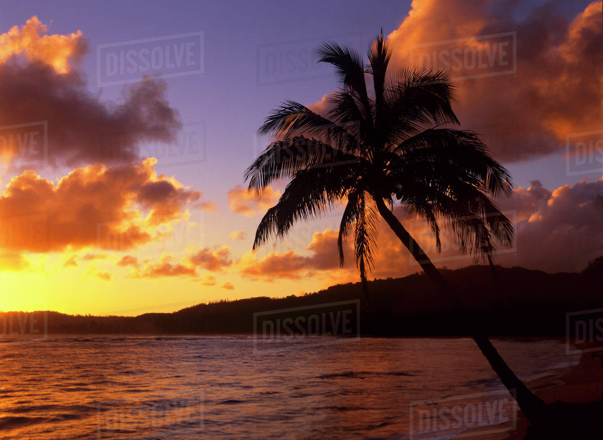 Tropical sunrise on the Garden Isle, Kauai, Hawaii. - Royalty-free ...