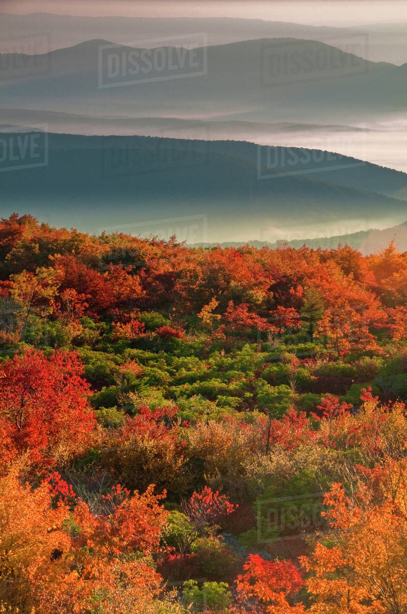 USA, West Virginia, Dolly Sods Wilderness. Sunrise on autumn landscape ...